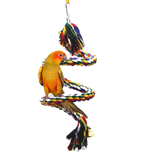 Best Bird Swings For Parrots India 2022- Ultimate Guide & Review
